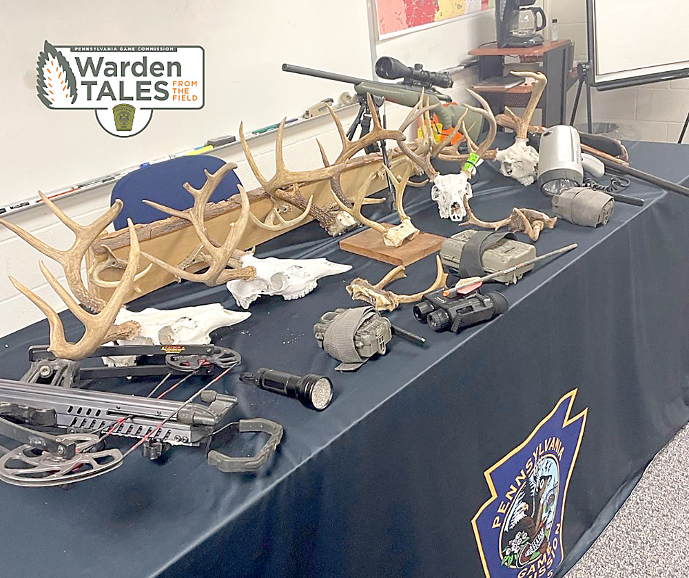 Details released in Cambria County poaching probe | News, Sports, Jobs ...